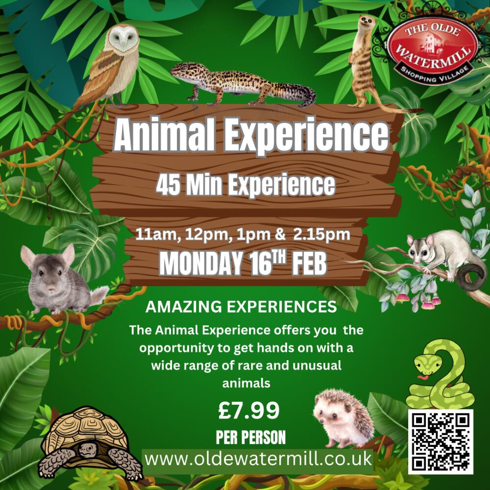 #1 The Animal Experience 2026 - The Olde Watermill Shopping Village